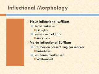 morphology | PPT
