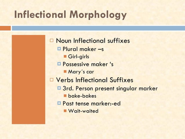morphology | PPT
