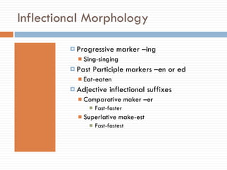morphology | PPT