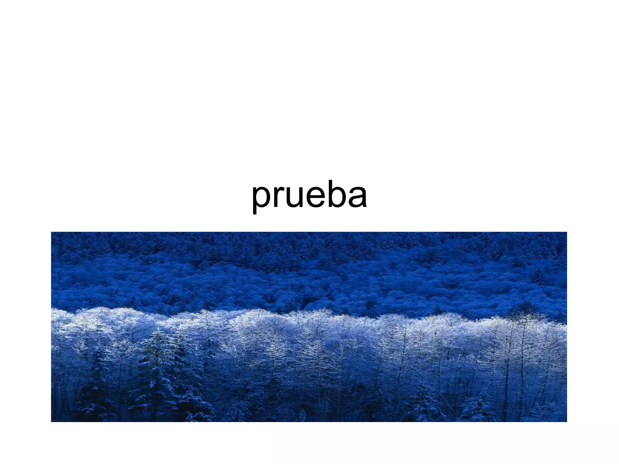 Prueba | PPT
