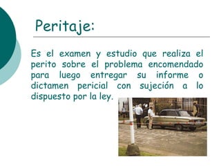 Prueba Pericial | PPT