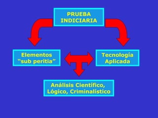 Prueba Pericial Informatico Forense | PPS