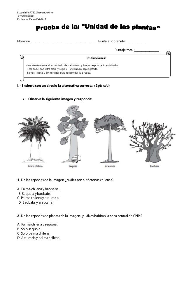 Prueba ciencias las plantas