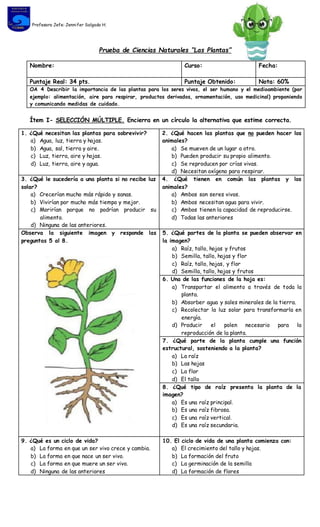Prueba de ciencias las plantas 3° 2021 | DOC