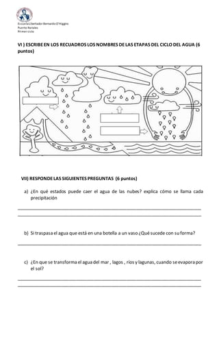Prueba de ciencias naturales el agua | DOCX