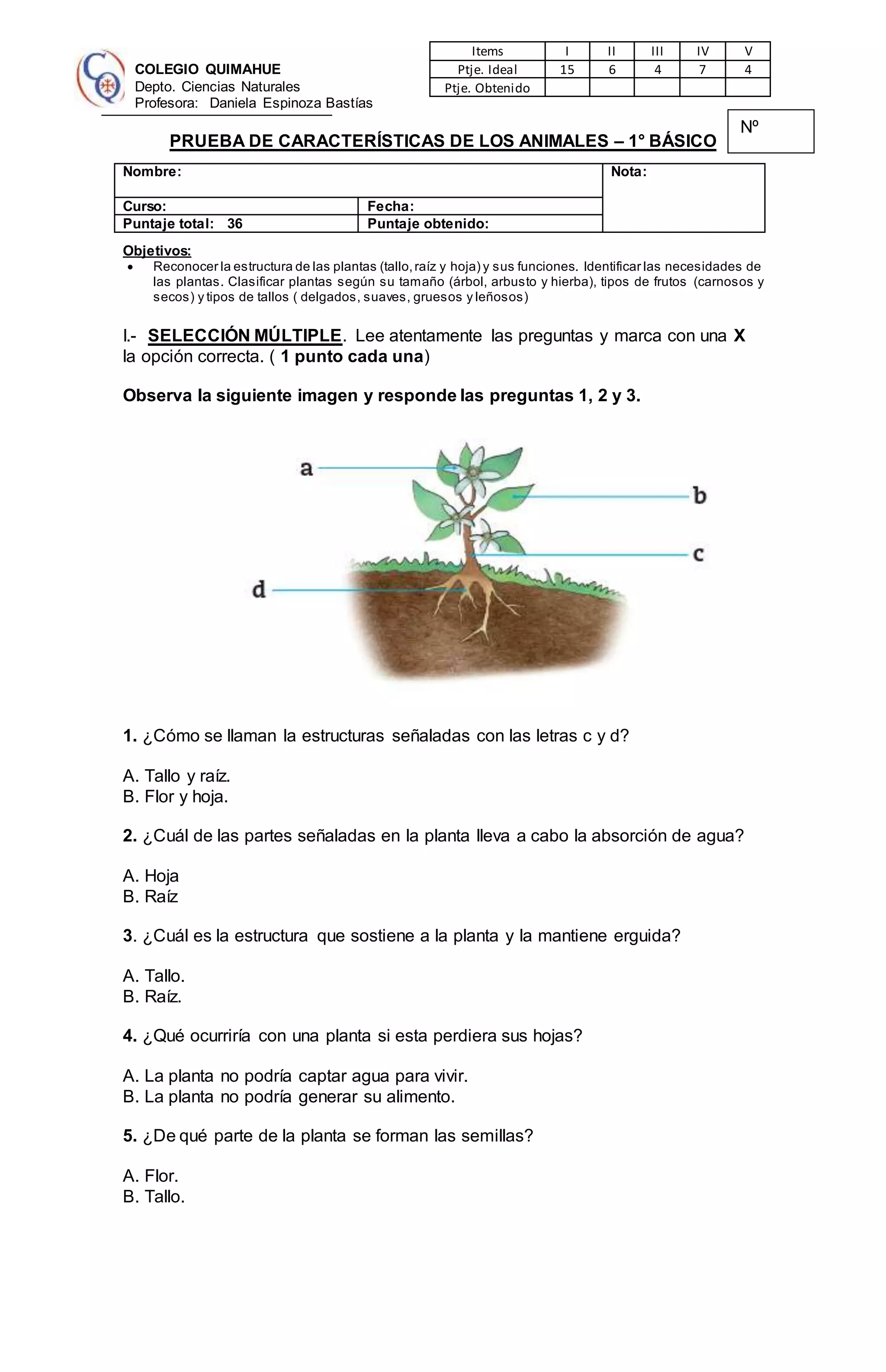 Prueba de las plantas | DOCX