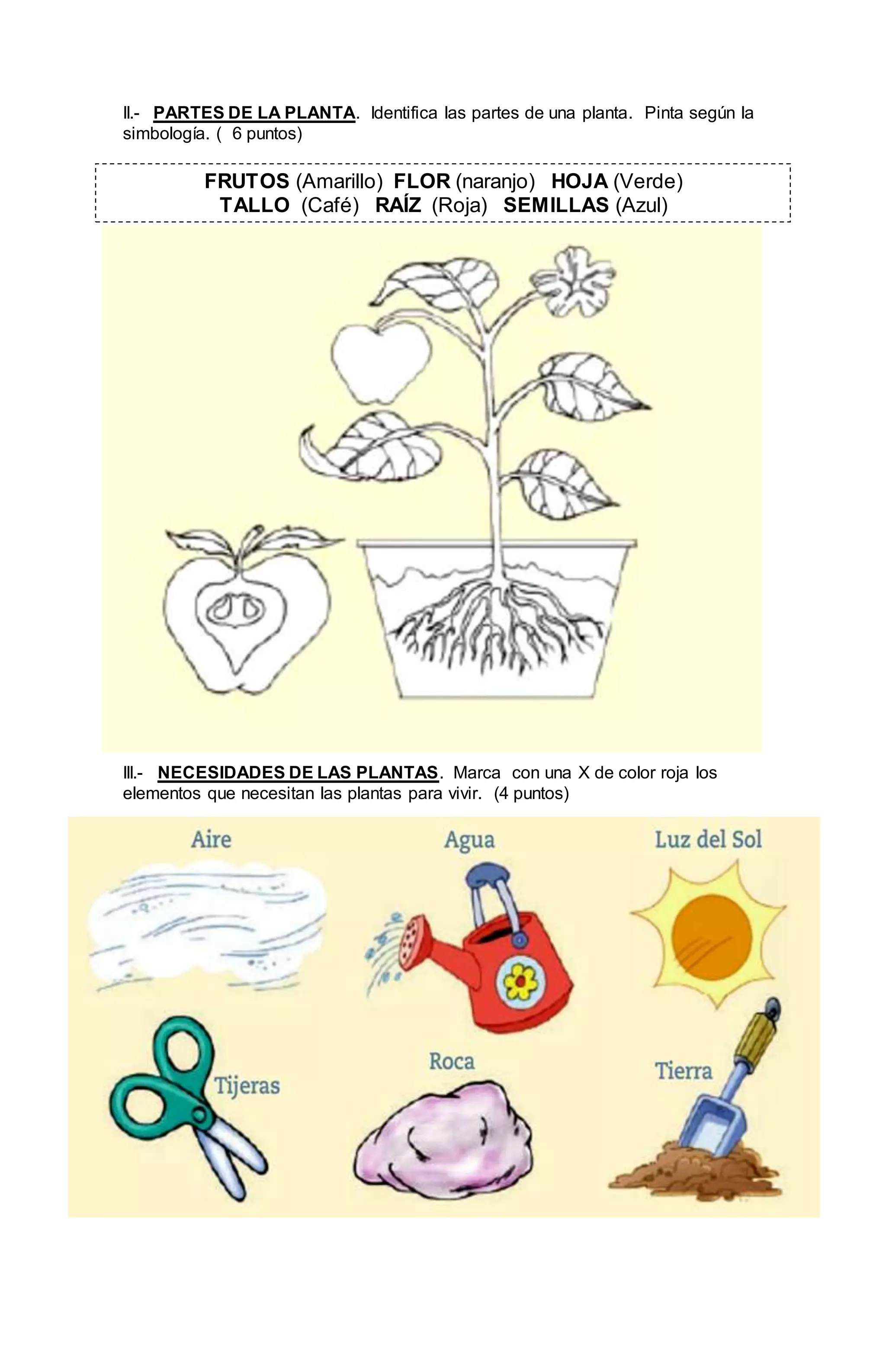 Prueba de las plantas | DOCX
