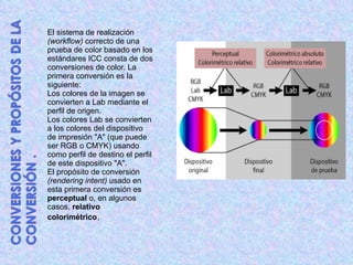 Prueba del color | PPT | Photo Editing Software | Computer Software and ...