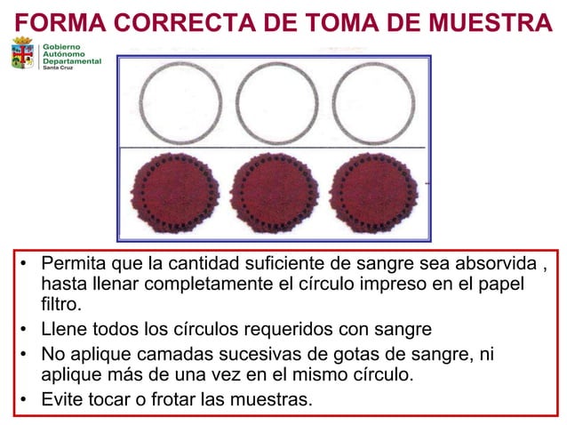 Prueba del talon | PPTX