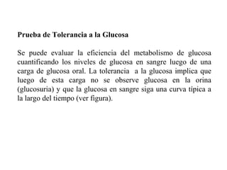 Prueba de tolerancia a la glucosa (fisiologia) | PPT