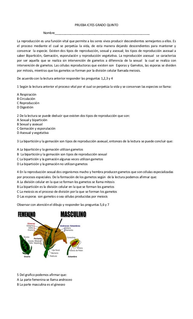 Preguntas Tipo Icfes Grado Quinto Ciencias Naturales at Forrest Sliger blog Preguntas Tipo Icfes Grado Quinto Ciencias Naturales at Forrest Sliger blog