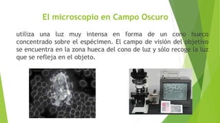 Prueba la microscopía (presentacion ) | PPSX