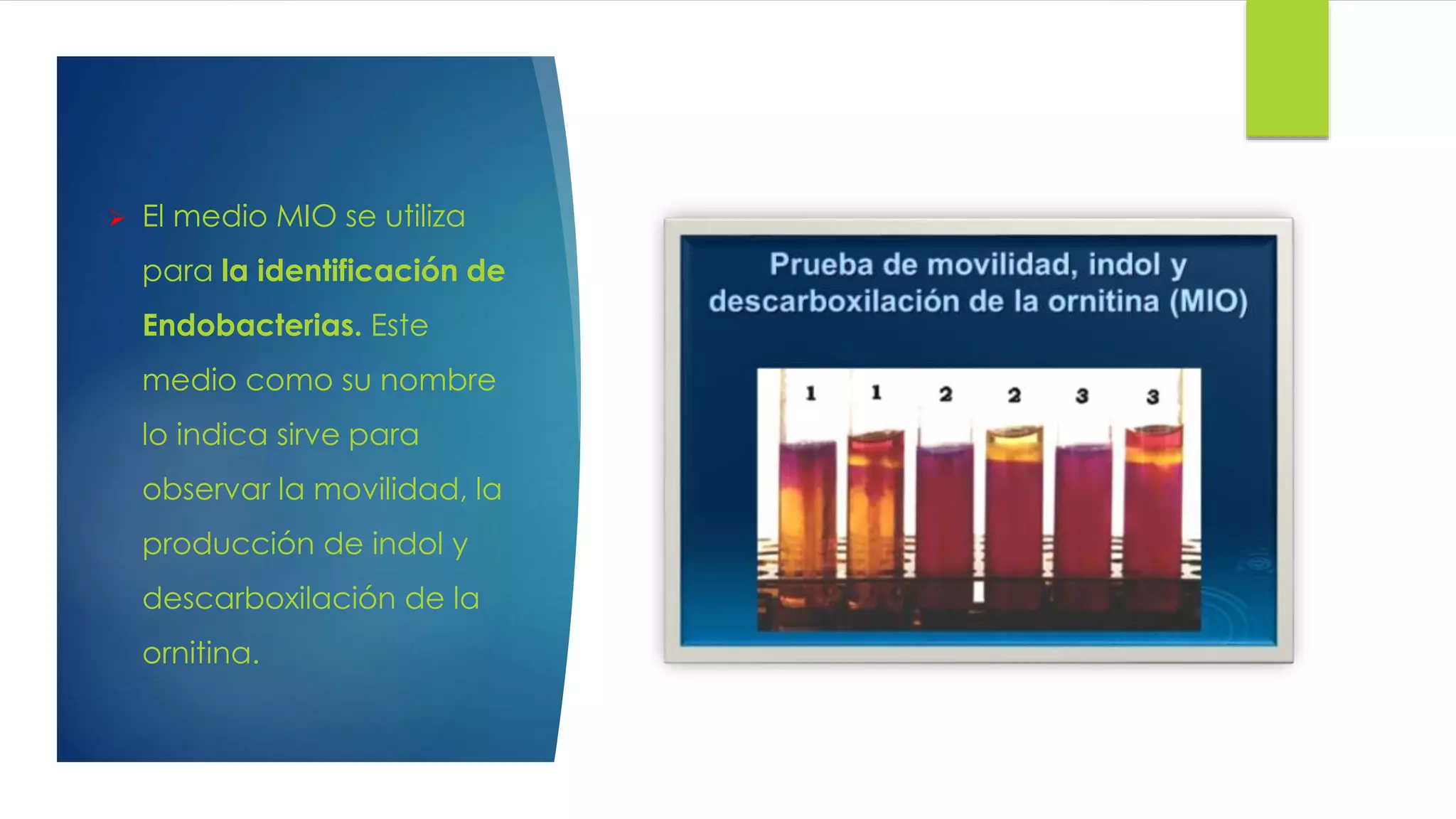 Prueba mio | PPTX