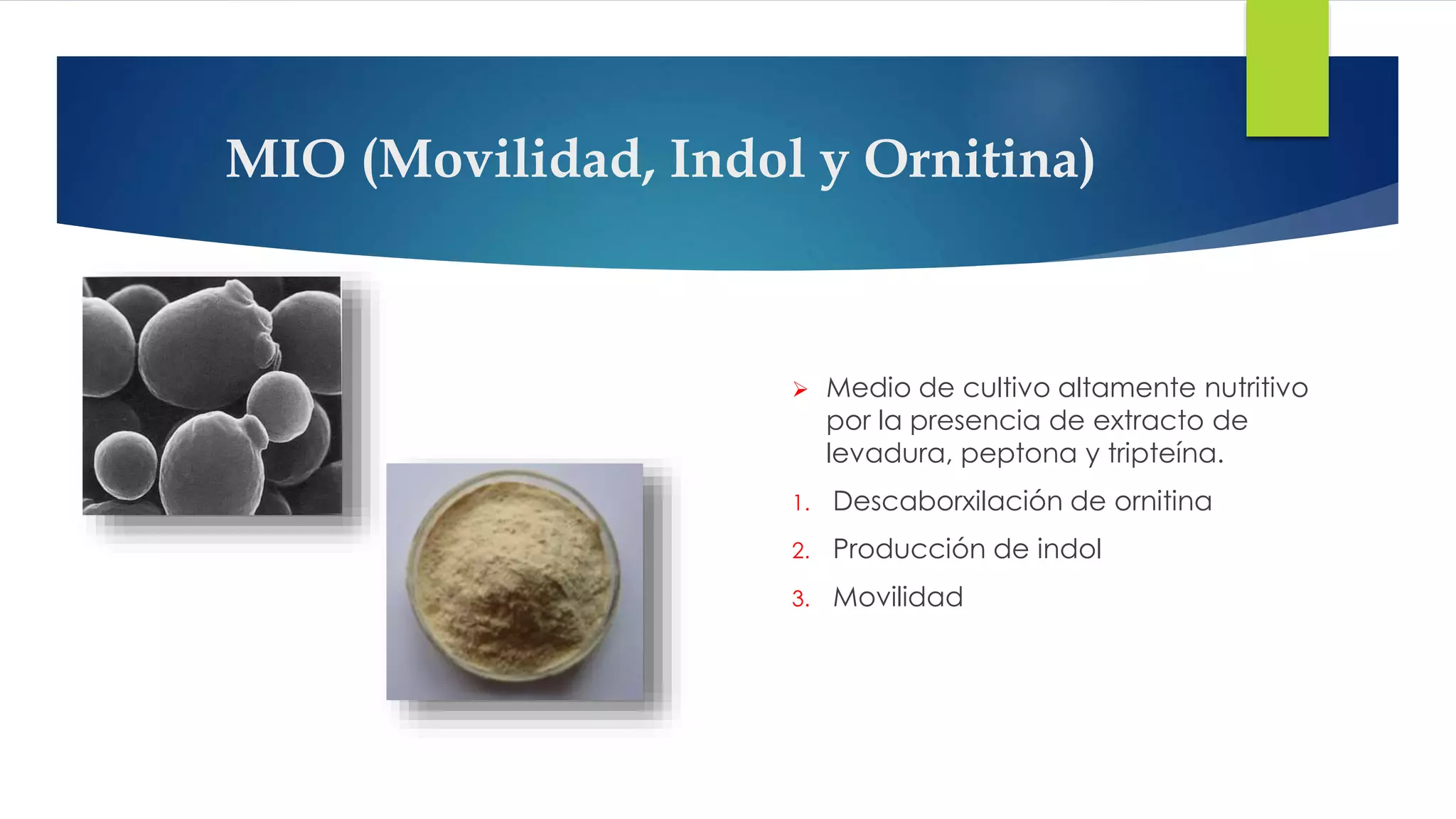 Prueba mio | PPTX