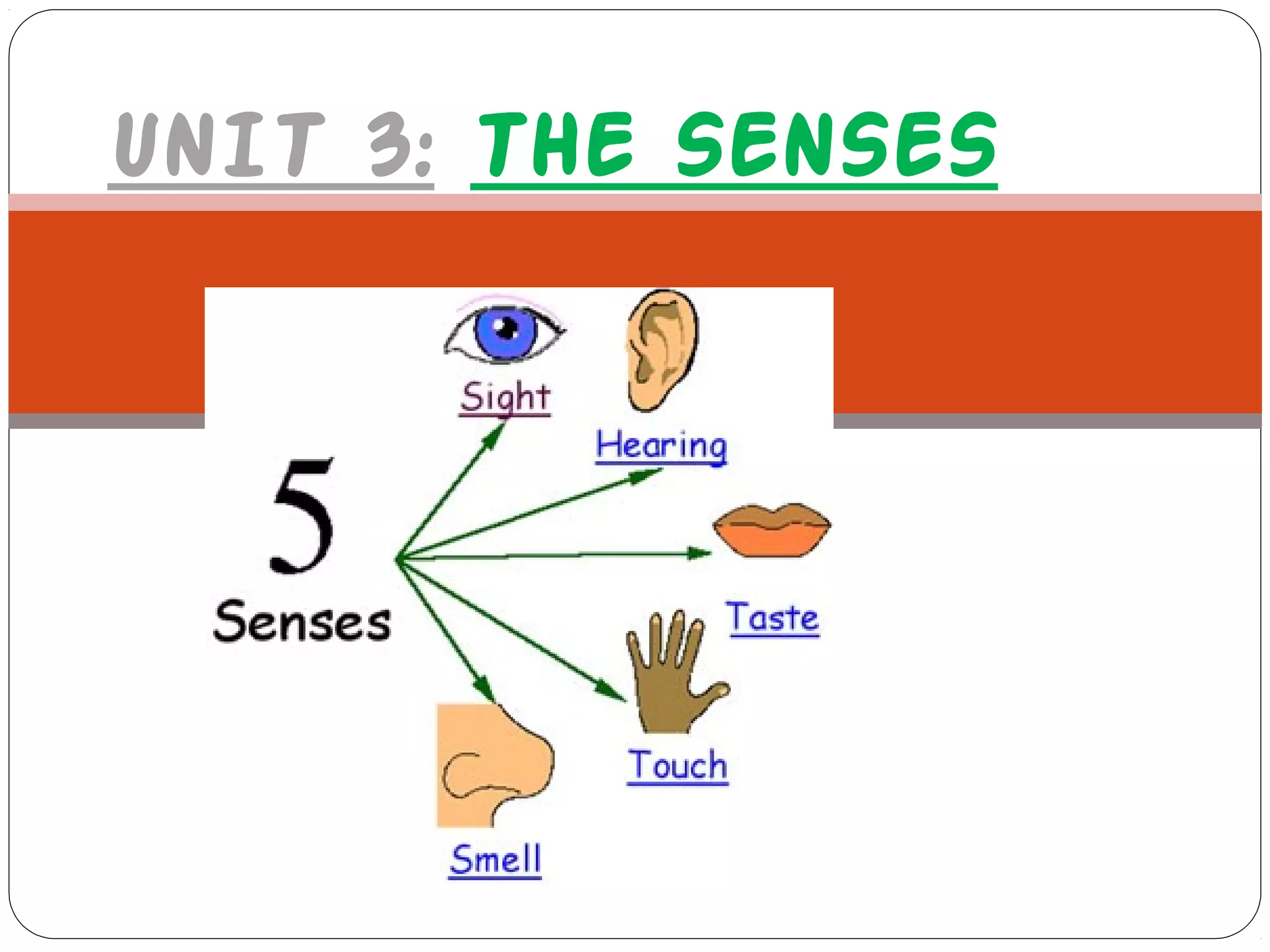 unit 3 science: the five senses | PPS