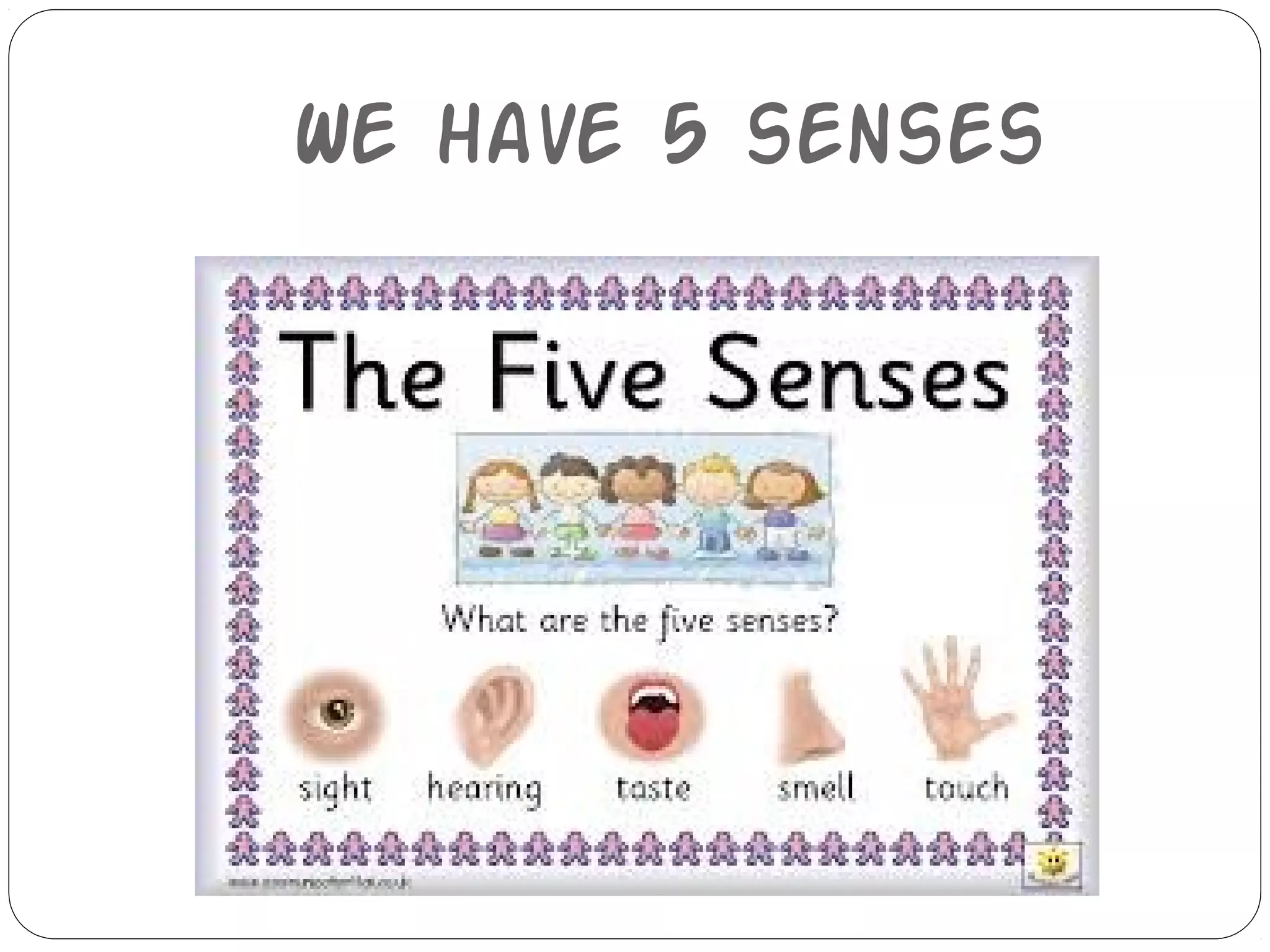 unit 3 science: the five senses | PPS