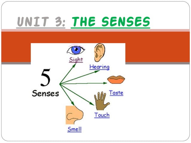 unit 3 science: the five senses | PPT
