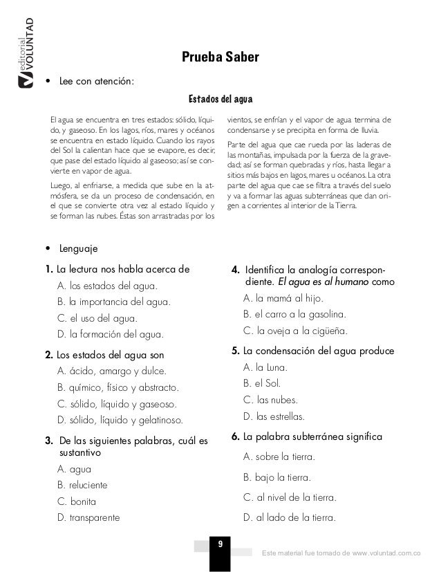 Prueba saber quinto preparación 2013