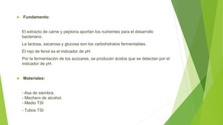 Pruebas bioquimicas para enterobacterias | PPTX