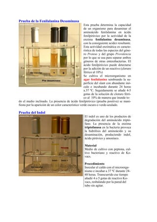 pruebas_bioquimicas_de_identificacion_de_bacterias.pdf