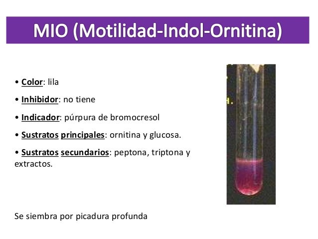 Pruebas bioquímicas
