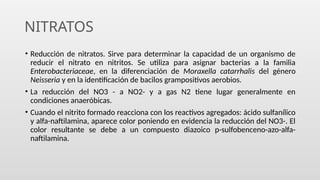 PRUEBAS BIOQUÍMICAS DE IDENTIFICACIÓN BGN.pptx