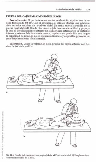 Pruebas clínicas para patología ósea, articular y muscular ...