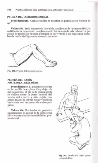Pruebas clínicas para patología ósea, articular y muscular ...