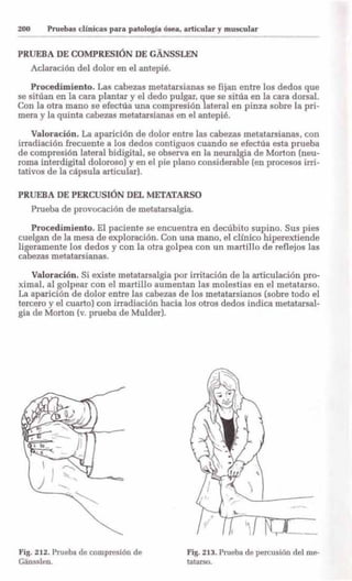 Pruebas clínicas para patología ósea, articular y muscular ...