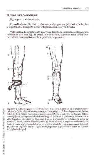 Pruebas clínicas para patología ósea, articular y muscular ...