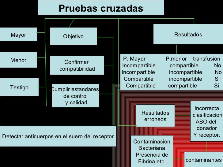 Pruebas Cruzadas