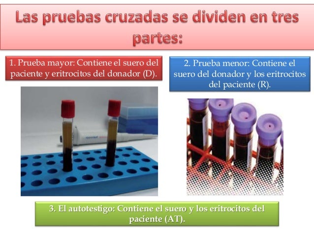 Pruebas cruzadas