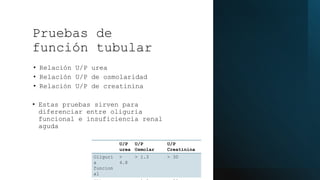 PRUEBAS DE FUNCIONAMIENTO RENAL AGUDA.pptx
