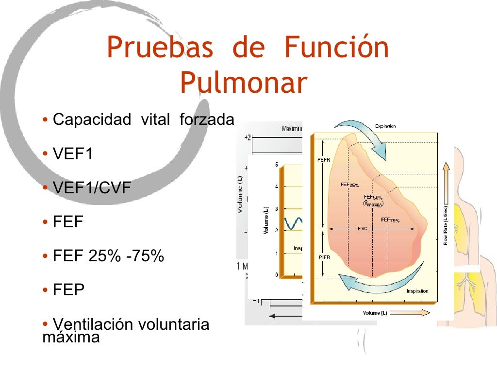 Pruebas De Funcion Pulmonar