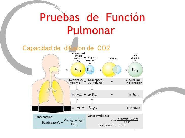 Pruebas De Funcion Pulmonar