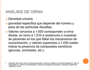 Pruebas de funcion renal | PPTX