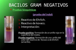 PRUEBAS DE IDENTIFICACIÓN PARA BACTERIAS DE INTERÉS CLÍNICO.pdf