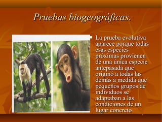 PRUEBAS DE LA EVOLUCIÓN | PPT