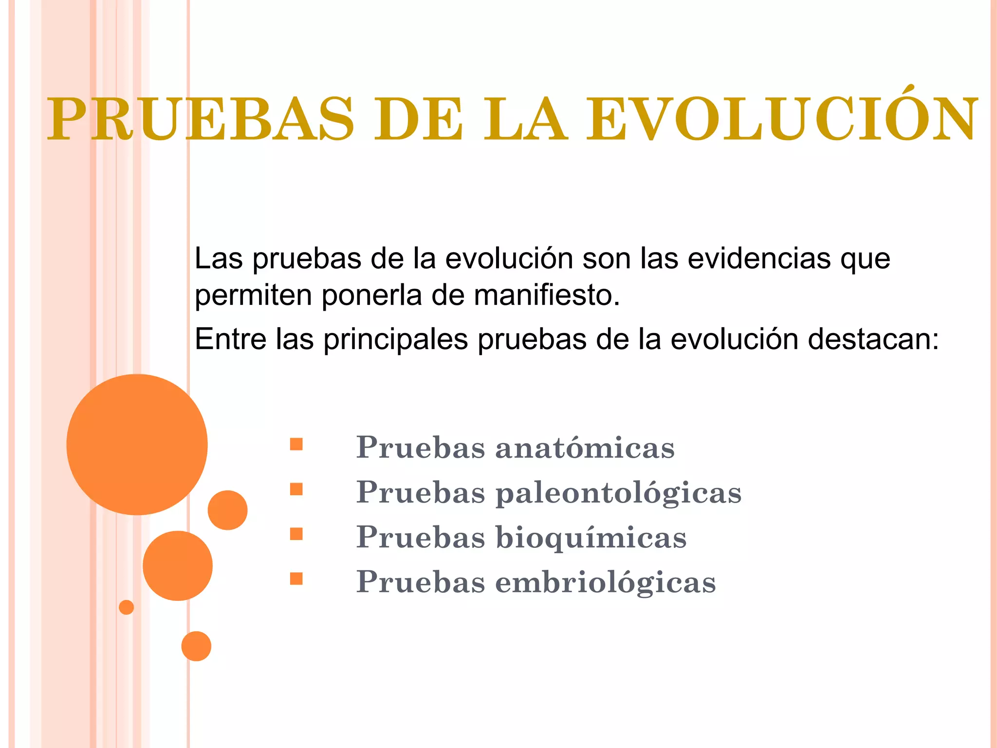 Pruebas de la evolución | PPT | Genetics | Science