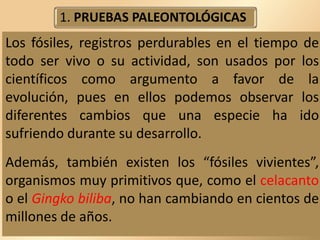Pruebas de la evolución | PPTX