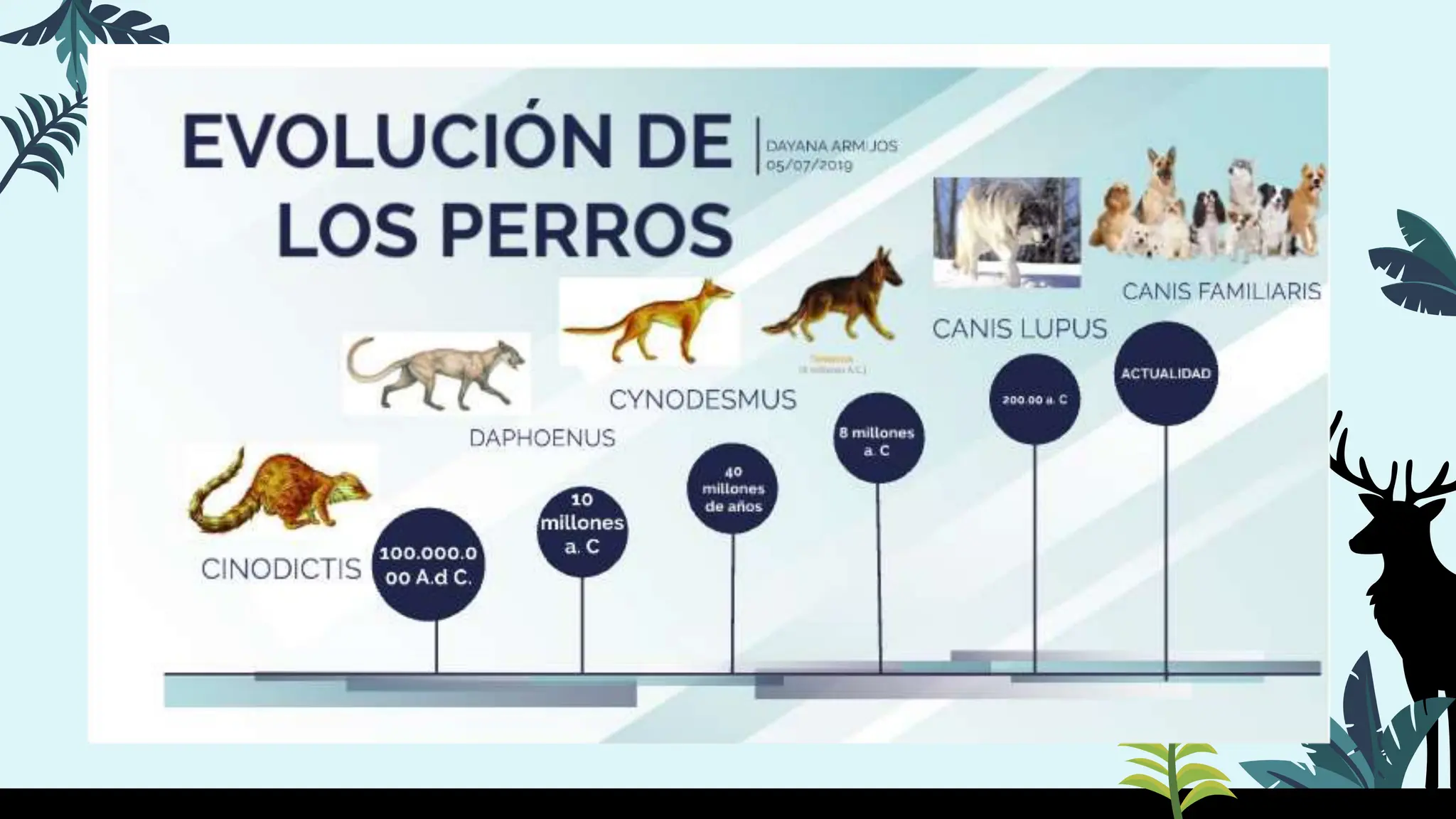 PRUEBAS DE LA EVOLUCIÓN PRIMERO BGU BIOLOGÍA | PPTX | Biological ...
