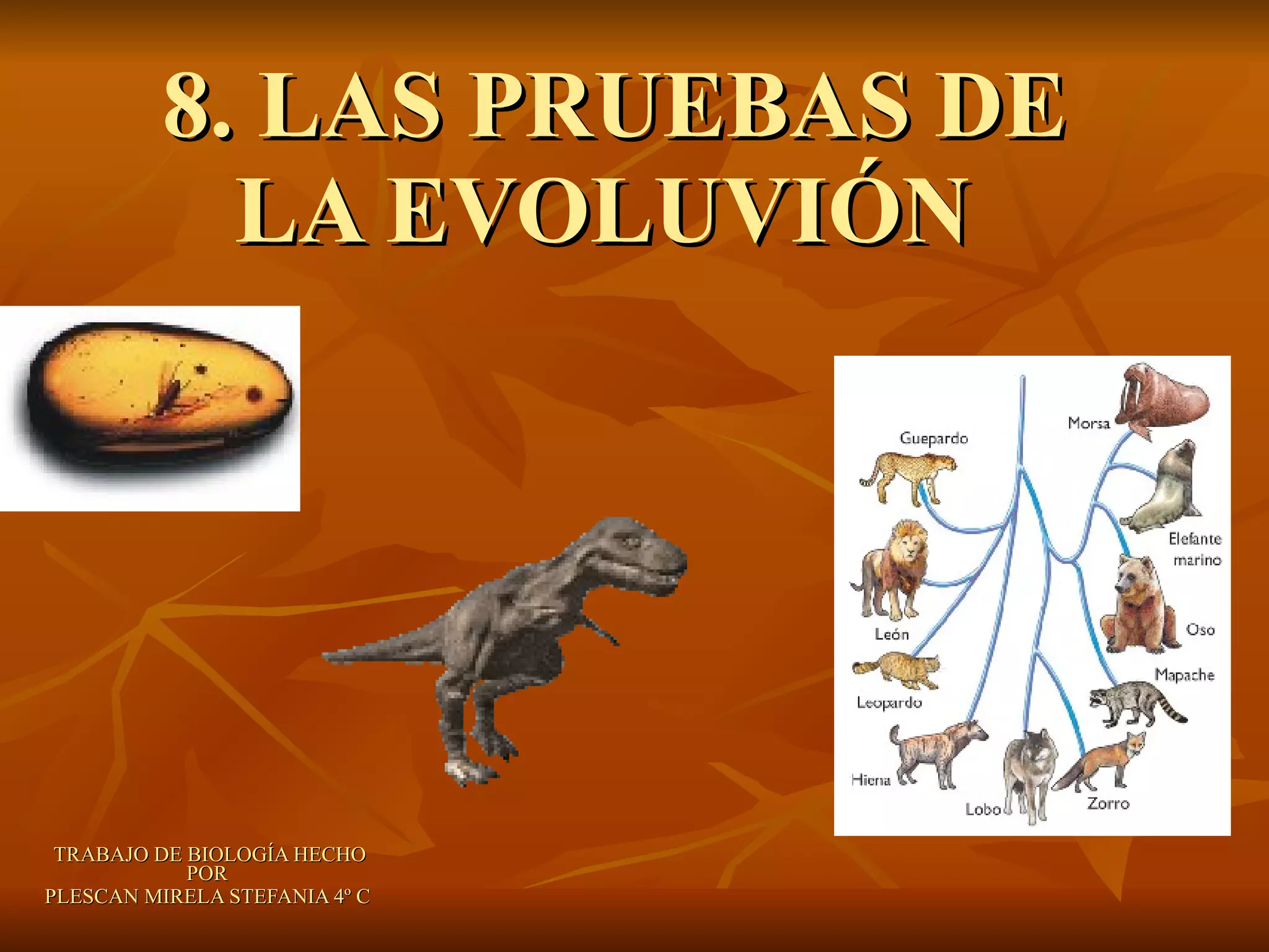 Pruebas de la evolucion | PPT