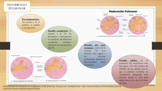 PRUEBAS DE MADUREZ FETAL .pdf1212555552YYY | PDF
