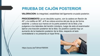 pruebas especiales tema 3 inspección y valoración | PPTX