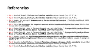 Pruebas funcionales.pptx