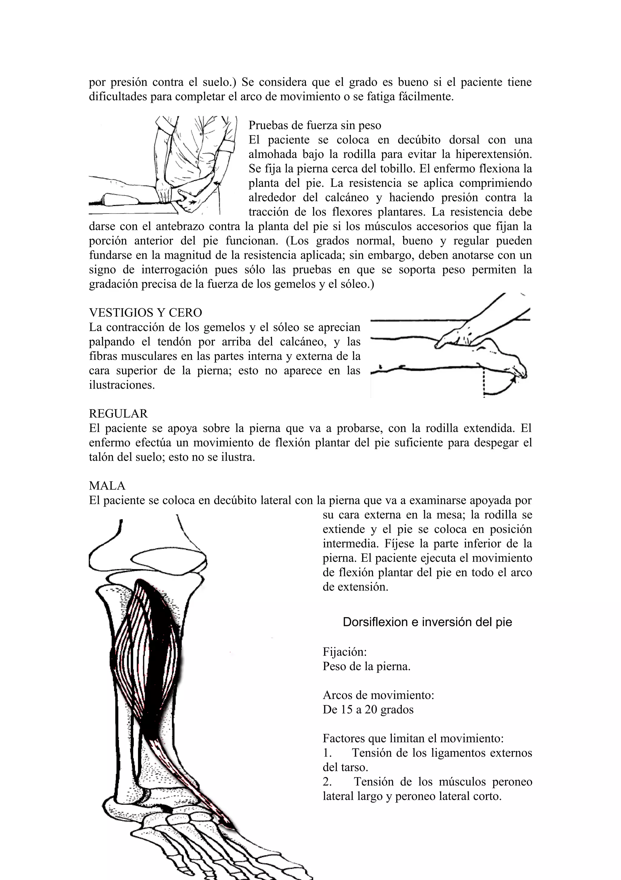 Pruebas funcionales musculares Daniels | DOC