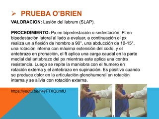 PRUEBAS FUNCIONALES TEMA 2.pptx actitud y aptitud | PPTX