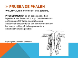PRUEBAS FUNCIONALES TEMA 2.pptx actitud y aptitud | PPTX