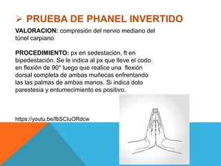 PRUEBAS FUNCIONALES TEMA 2.pptx actitud y aptitud | PPTX