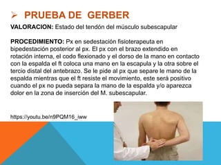 PRUEBAS FUNCIONALES TEMA 2.pptx actitud y aptitud | PPTX